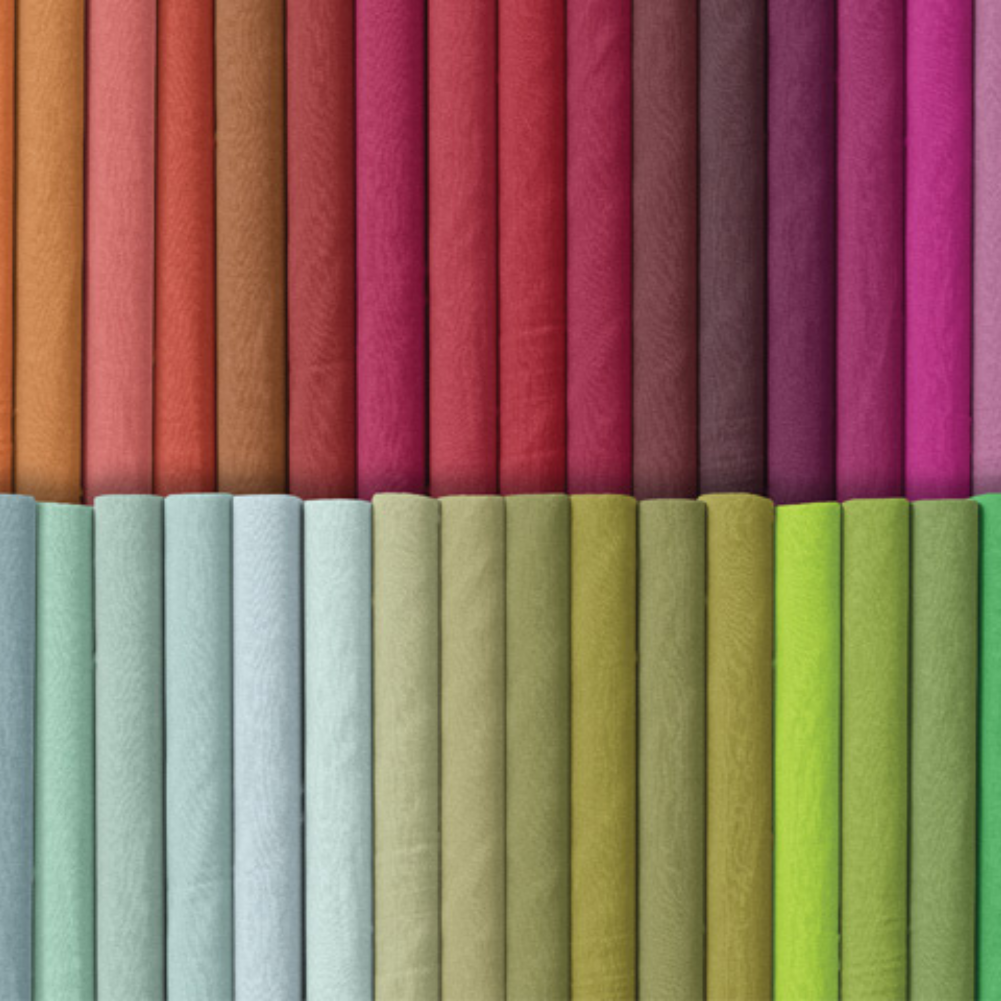 Solids – Angie and Coco