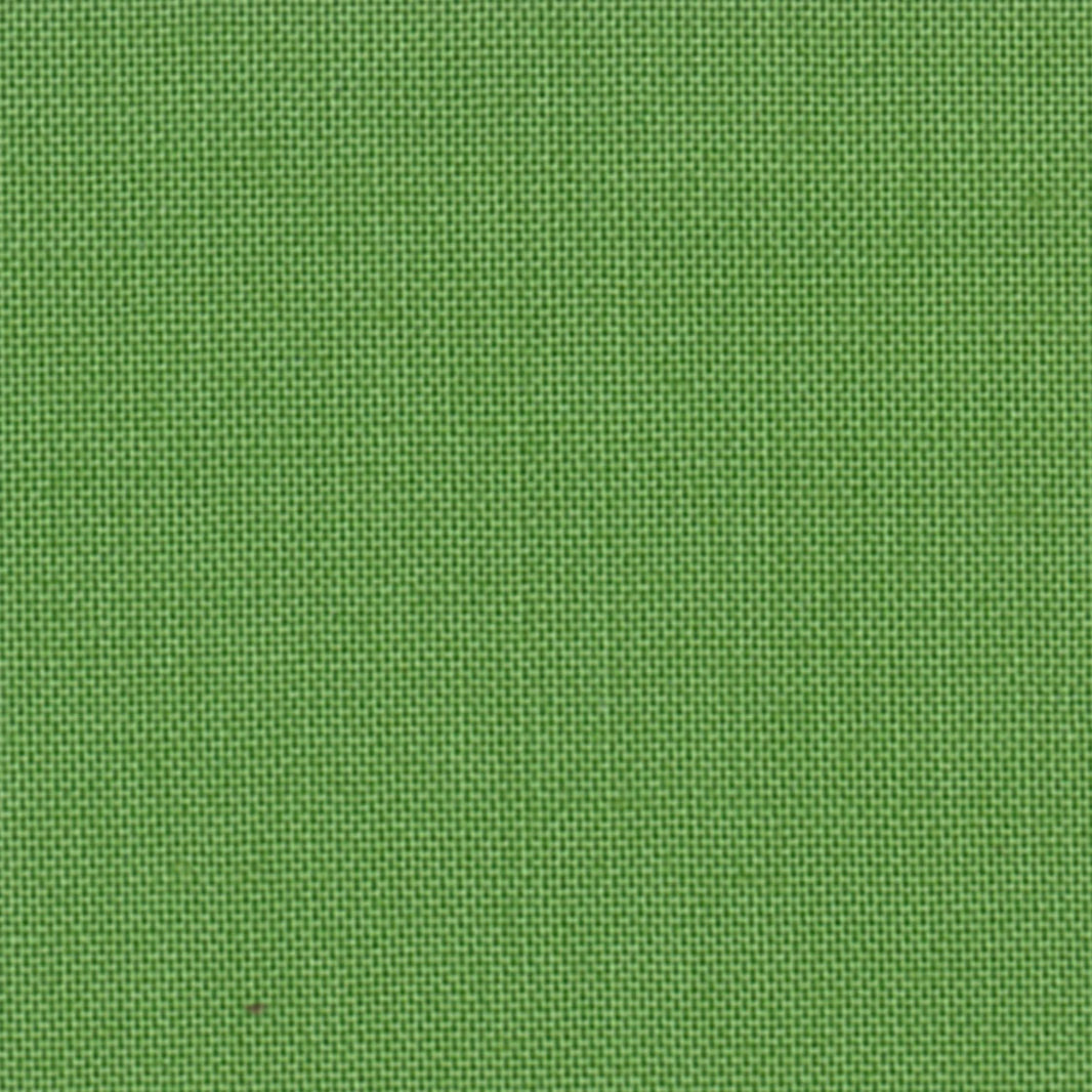 Solids – Page 2 – Angie and Coco