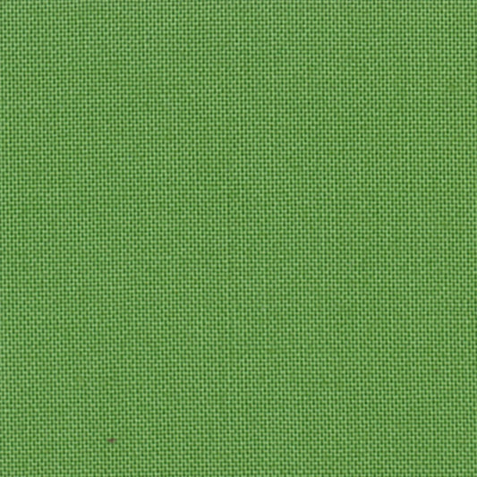 Solids – Page 2 – Angie and Coco