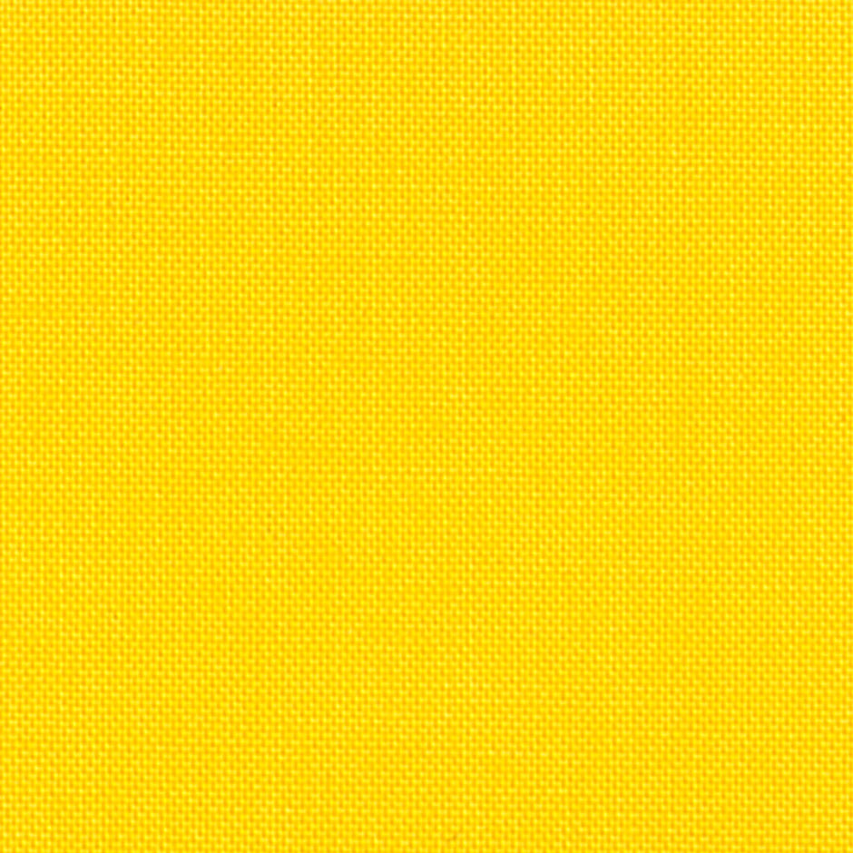 Solids – Page 2 – Angie and Coco